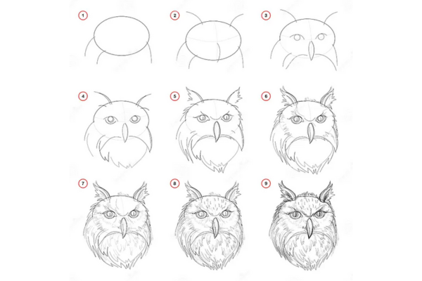 Domina el Arte del Dibujo: Pasos hacia la Perfección Domina el Arte del Dibujo: Pasos hacia la Perfección